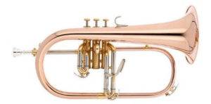The 8 Types of Brass Instruments You Should Know About